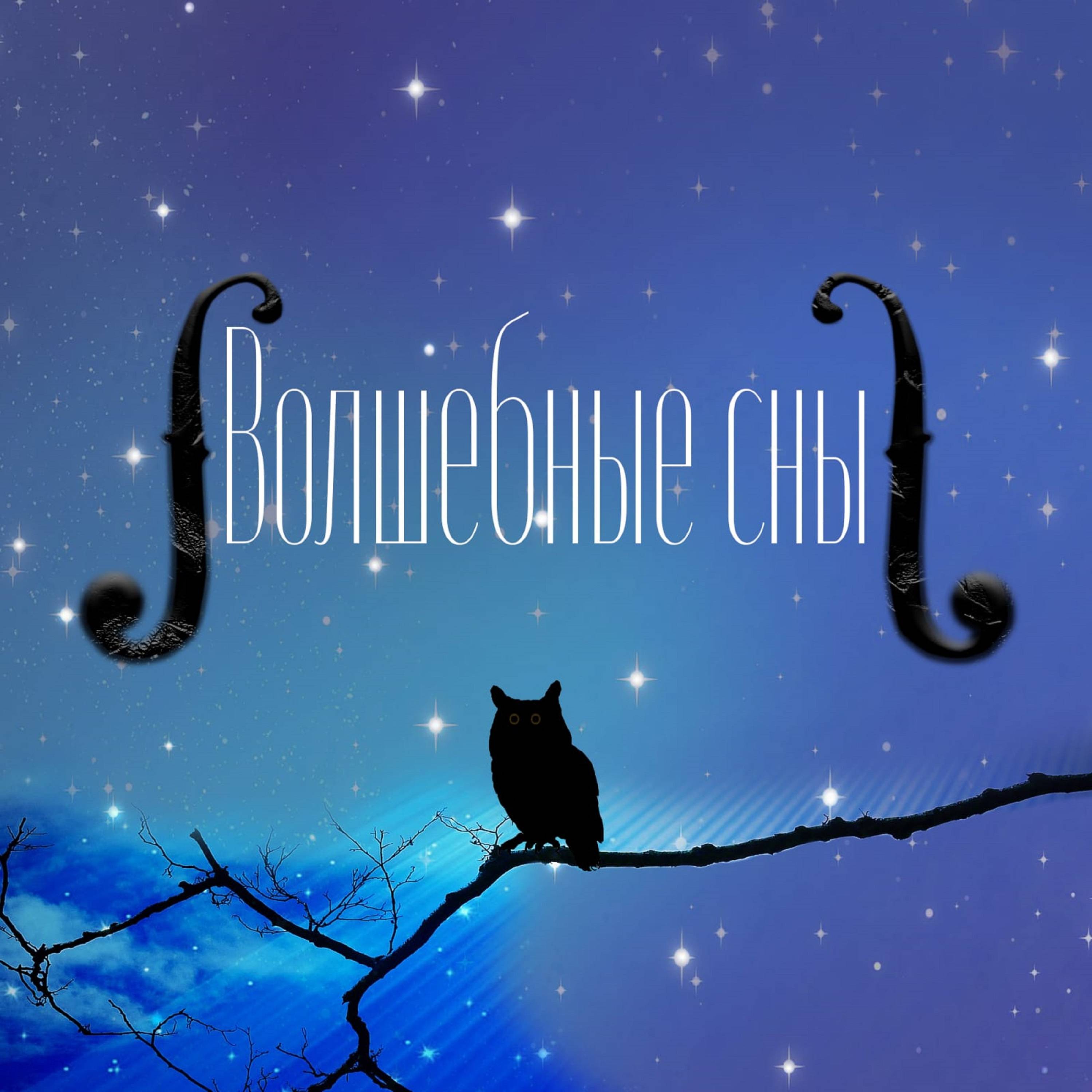 Иконка канала Волшебные сны