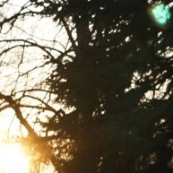 Иконка канала Егор Кумшаев