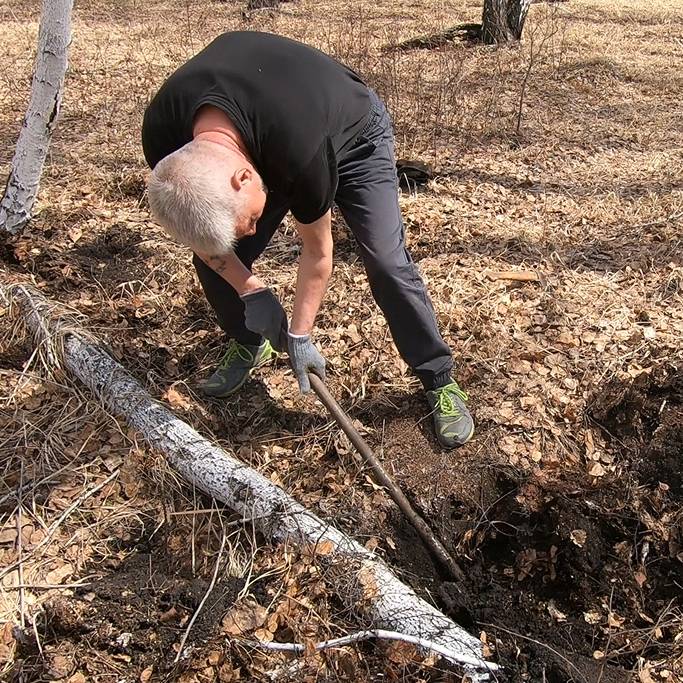 Иконка канала САНИТАРЫ ЛЕСА