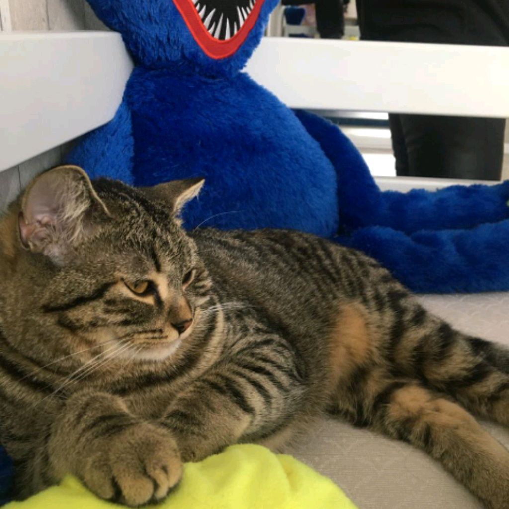 Иконка канала Рик