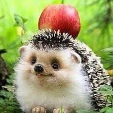 Иконка канала Домашние рецепты от Елены