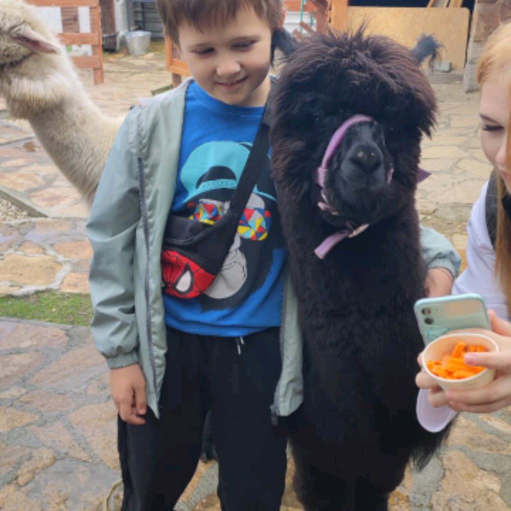 Иконка канала Буса