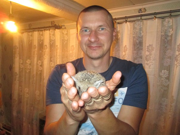 Иконка канала hedgehogvdv