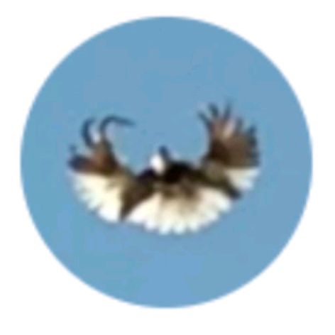 Иконка канала Журат А.А.