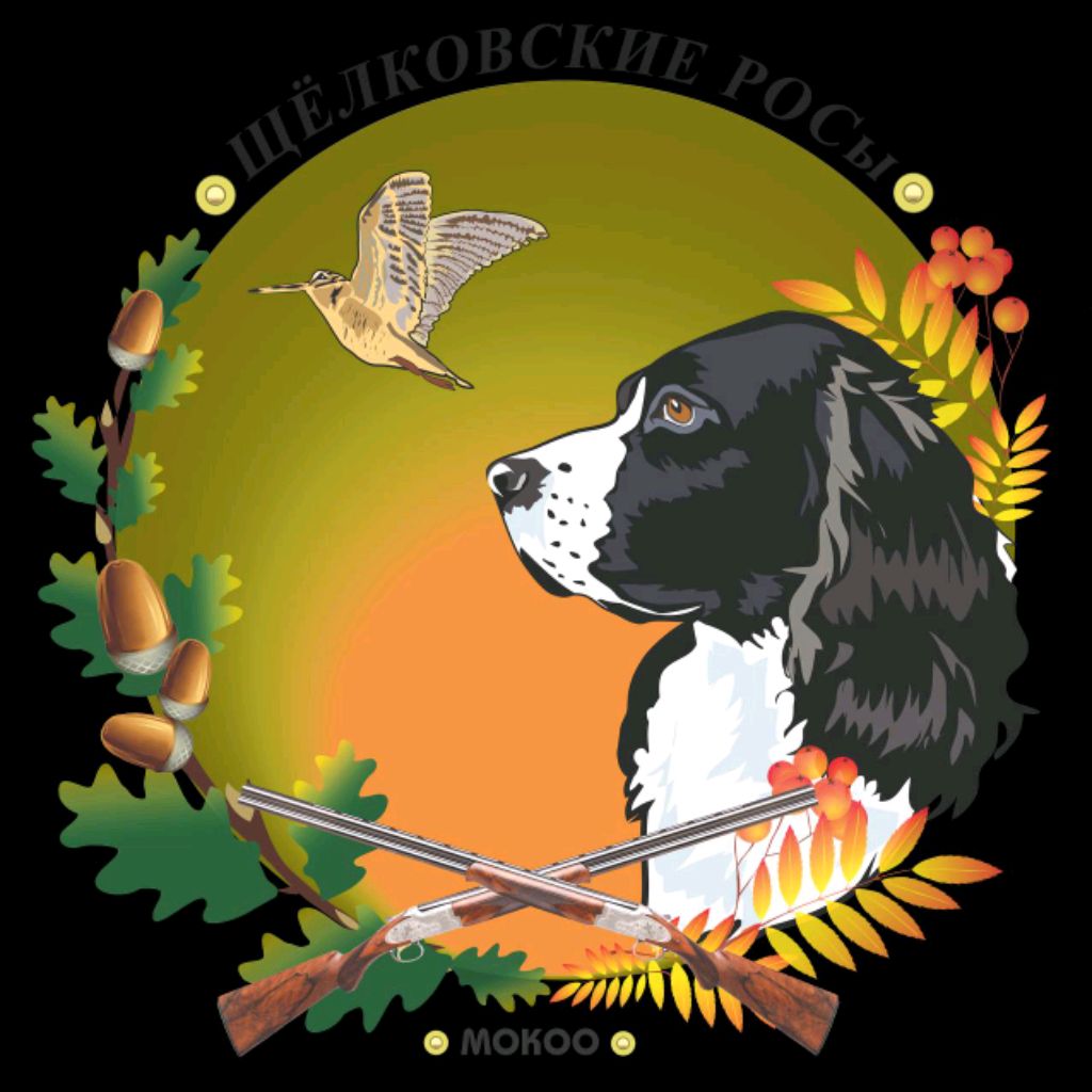 Иконка канала Щёлковские РОСы