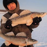 Иконка канала Рыбалка 37