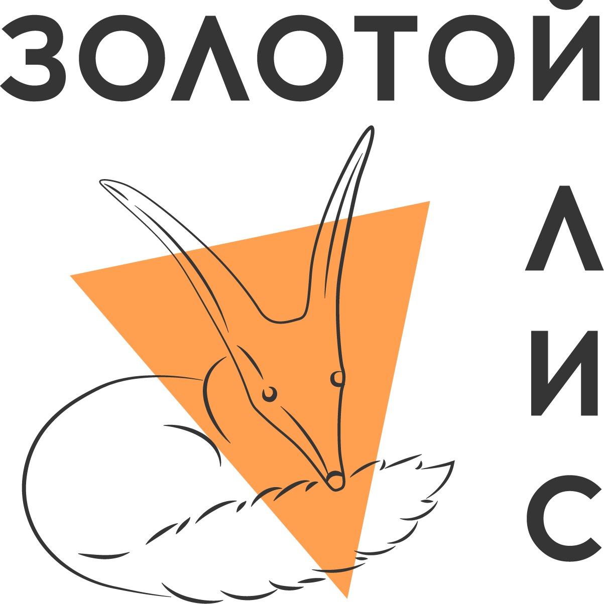 Иконка канала GOLDENFOX2024