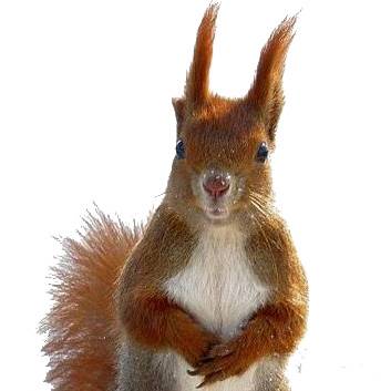 Иконка канала Мой Зеленоград