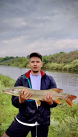 Иконка канала DonFish