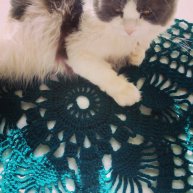 Иконка канала Татьяна Толмачёва