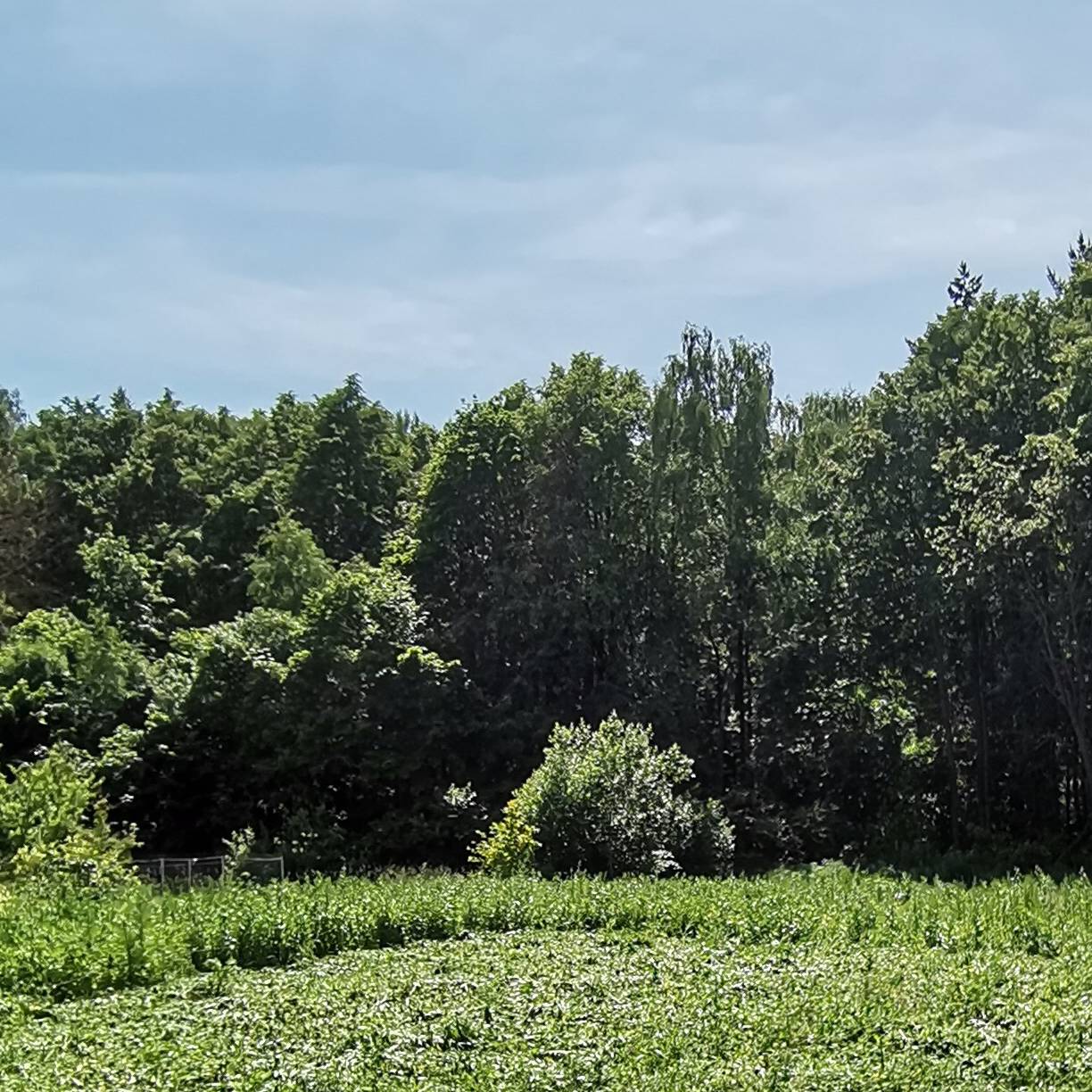 Иконка канала На опуше