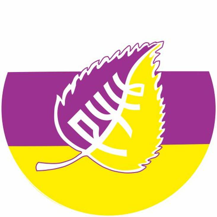 Иконка канала РОСТОК ОТЕЧЕСТВА