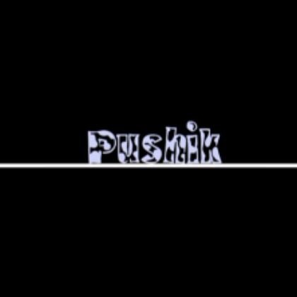 Иконка канала Pushik