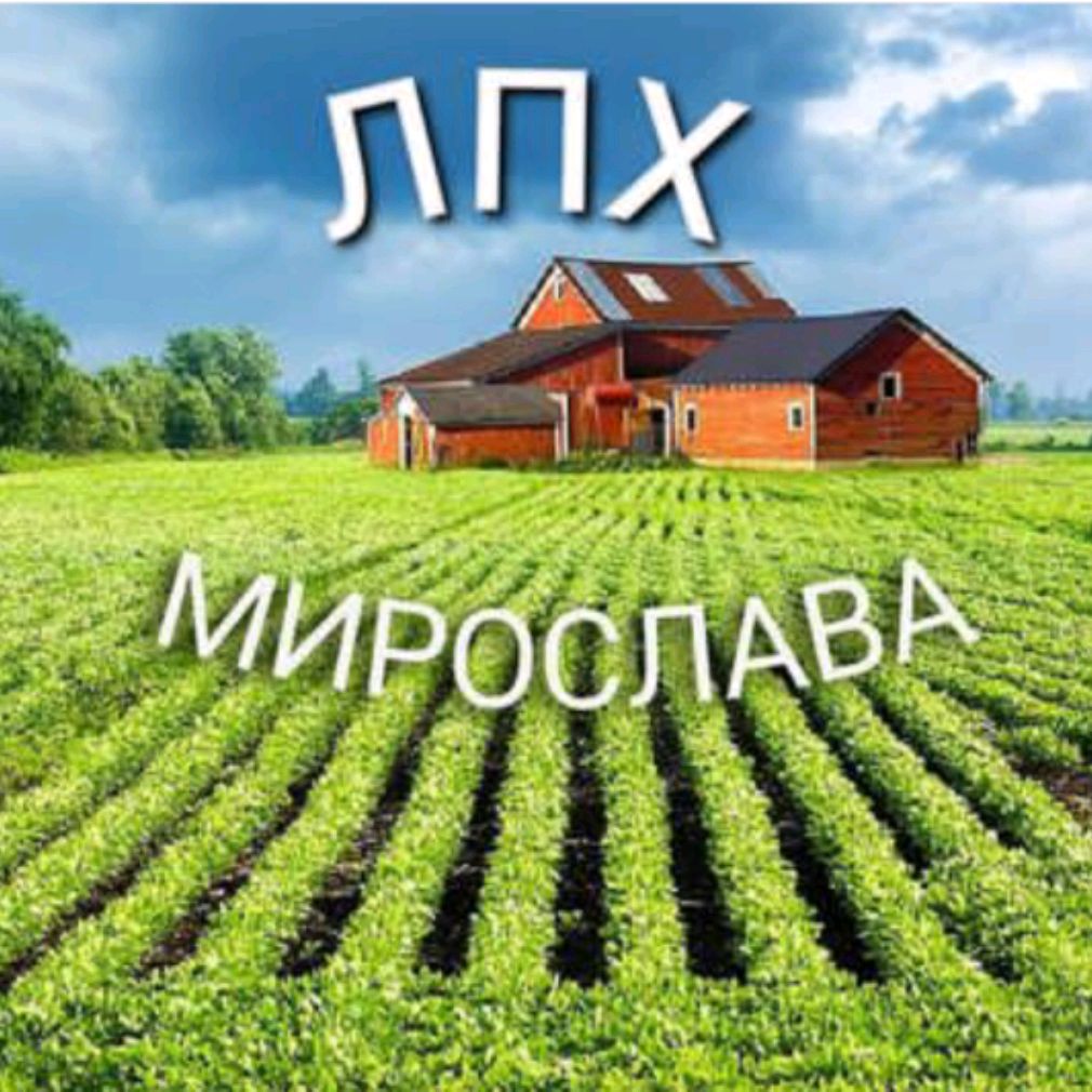 Иконка канала ЛПХ Мирослава