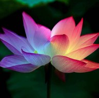 Иконка канала Отдых и расслабление