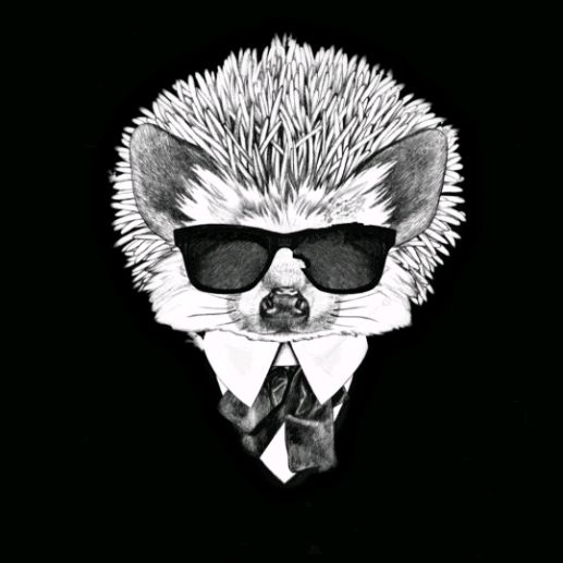 Иконка канала Mr. Ёжич