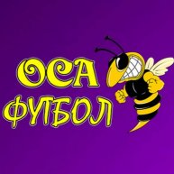 Иконка канала ОСА ФУТБОЛ