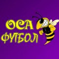 Иконка канала ОСА ФУТБОЛ