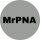 Иконка канала MrPNA
