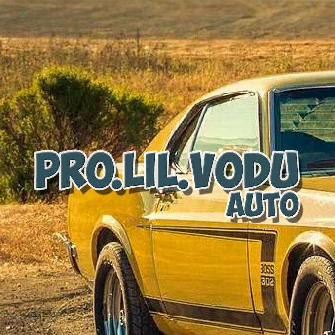 Иконка канала ProLilVodu Auto