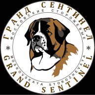 Иконка канала GS