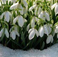 Иконка канала Ирина Чикалина