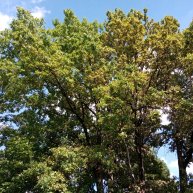 Иконка канала Мир вокруг