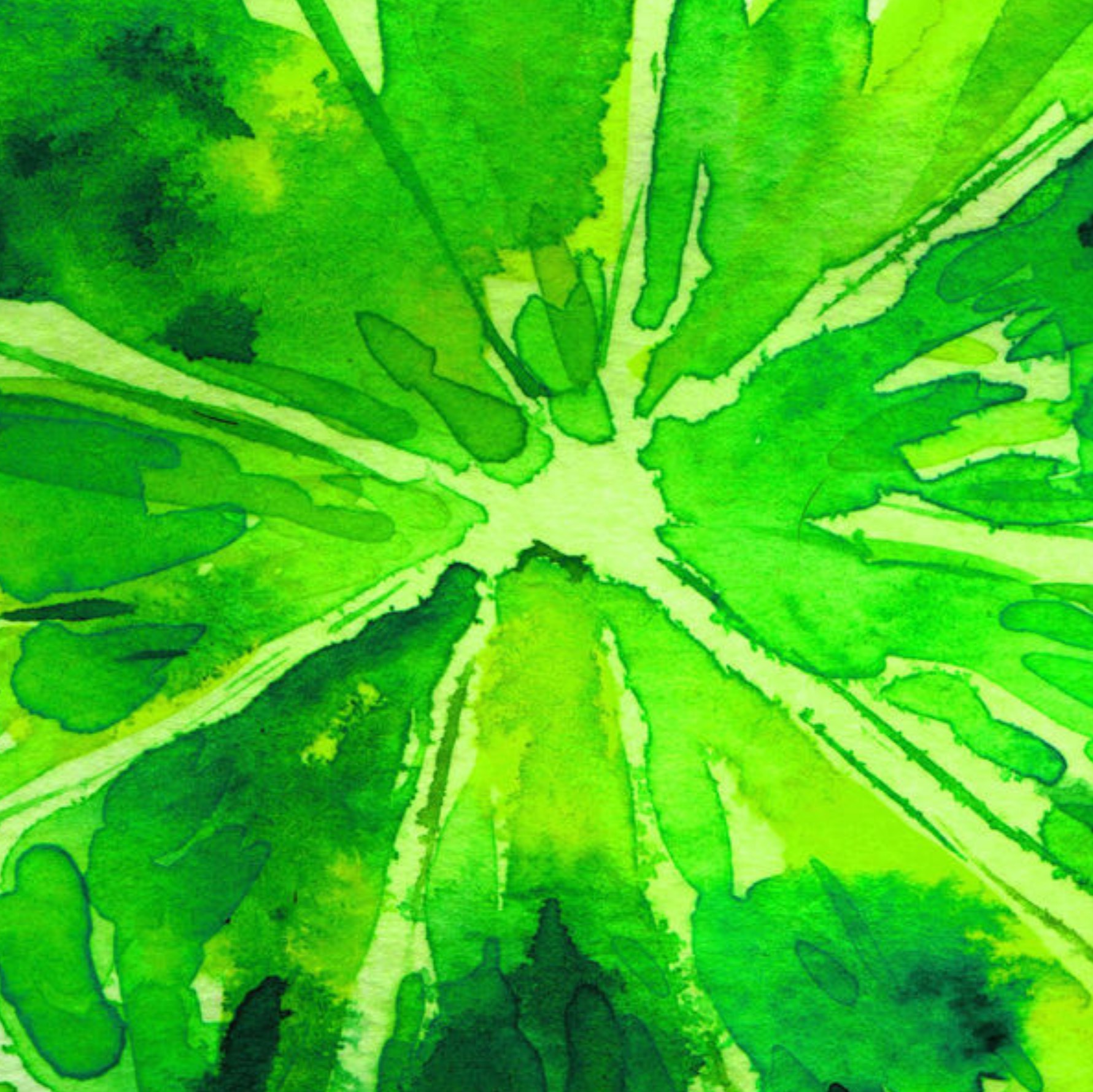 Иконка канала CoLor Lime