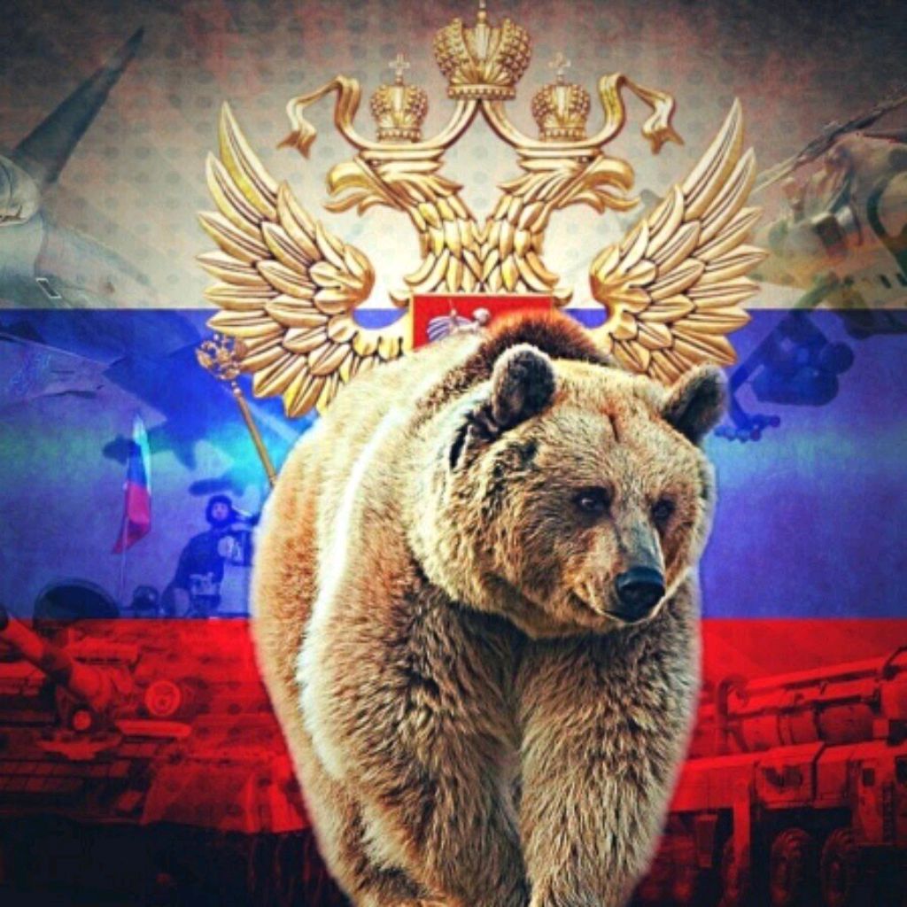 Иконка канала Россия Медведь