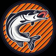 Иконка канала Рыба где-то рядом