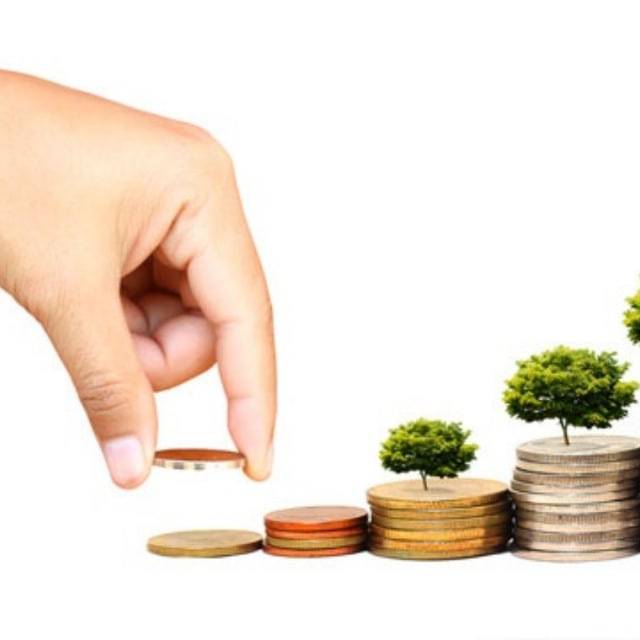 Иконка канала Разумная Инвестиция