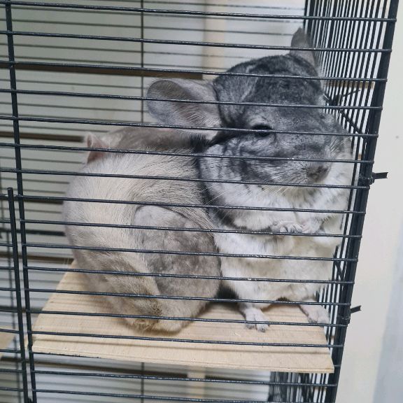 Иконка канала Doshik95