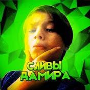 Иконка канала СЛИВЫ ДАМИРА