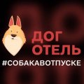 Иконка канала Дог-отель #собакавотпуске