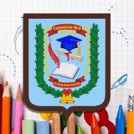 Иконка канала МБОУ гимназия №9 г.Ставрополя