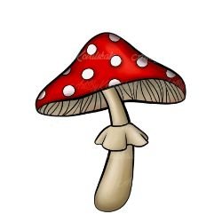 Иконка канала новый баланс