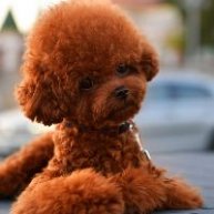 Иконка канала Мини Фанфини