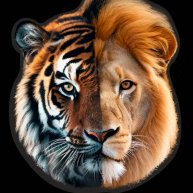 Иконка канала lev_tigrovich