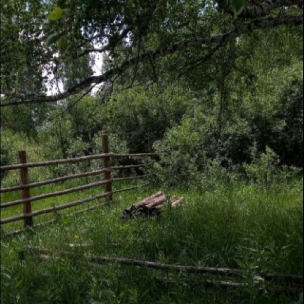 Иконка канала Травница🌻💚