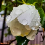 Иконка канала Юлия Савастьянова