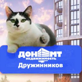Иконка канала donmt-litvinova