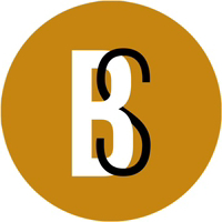 Иконка канала BIRZUL school