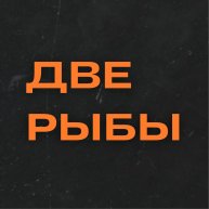 Иконка канала ДВЕ РЫБЫ | Музыкальный квартирник | СПб