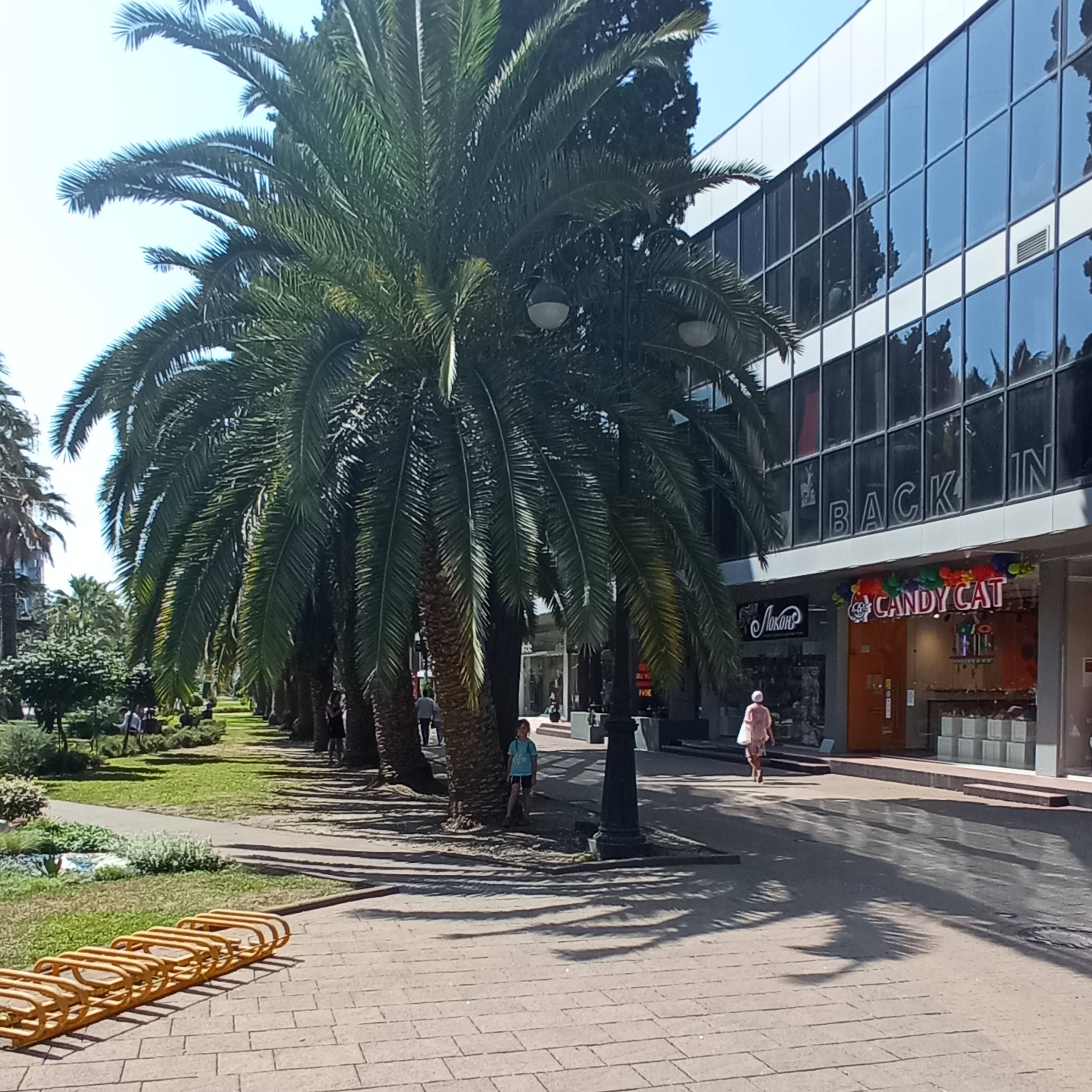 Иконка канала НОВОСТРОЙКИ ПОБЕРЕЖЬЯ