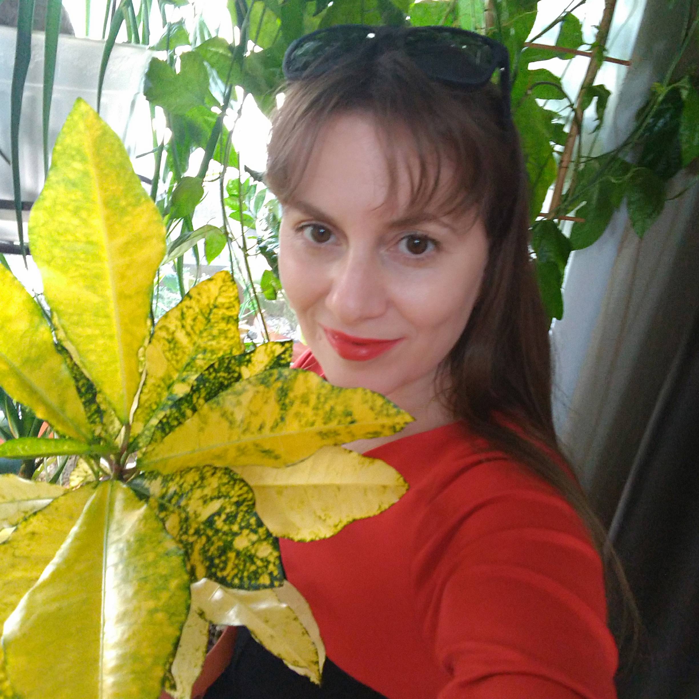 Иконка канала Марина Евдокимова - коллекционер кротонов