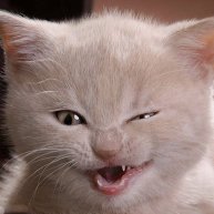 Иконка канала Игорь Котельников