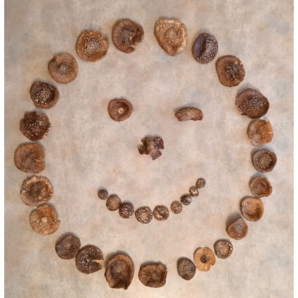 Иконка канала Дрек Брок