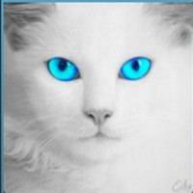 Иконка канала SodaEffect