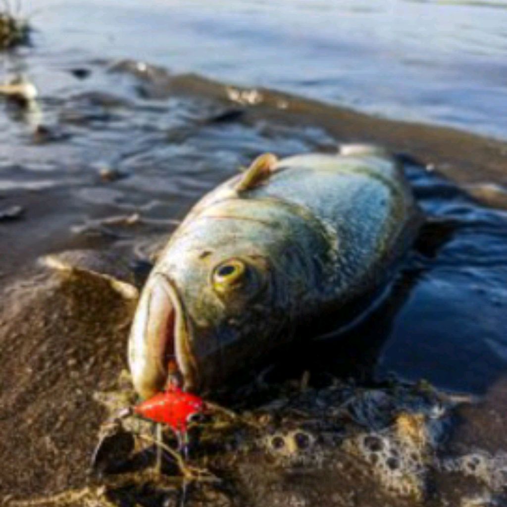 Иконка канала Fishing tricks | Рыболовные хитрости