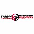 Иконка канала УМНЫЙ ВОДИТЕЛЬ